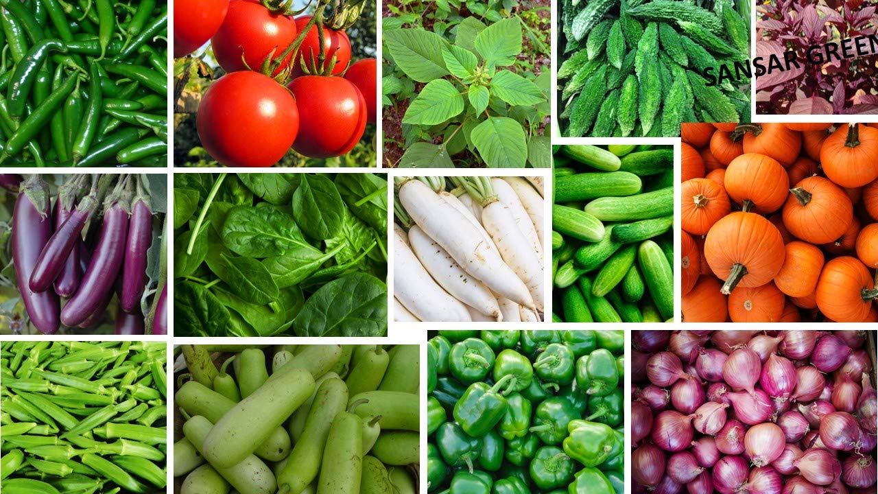 Indore:Vegetables and fruits allowed till 12 o'clock, police run poles ...