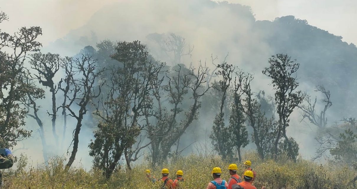 Over 100 teams gathered to overcome the fierce fire in the forest of ...