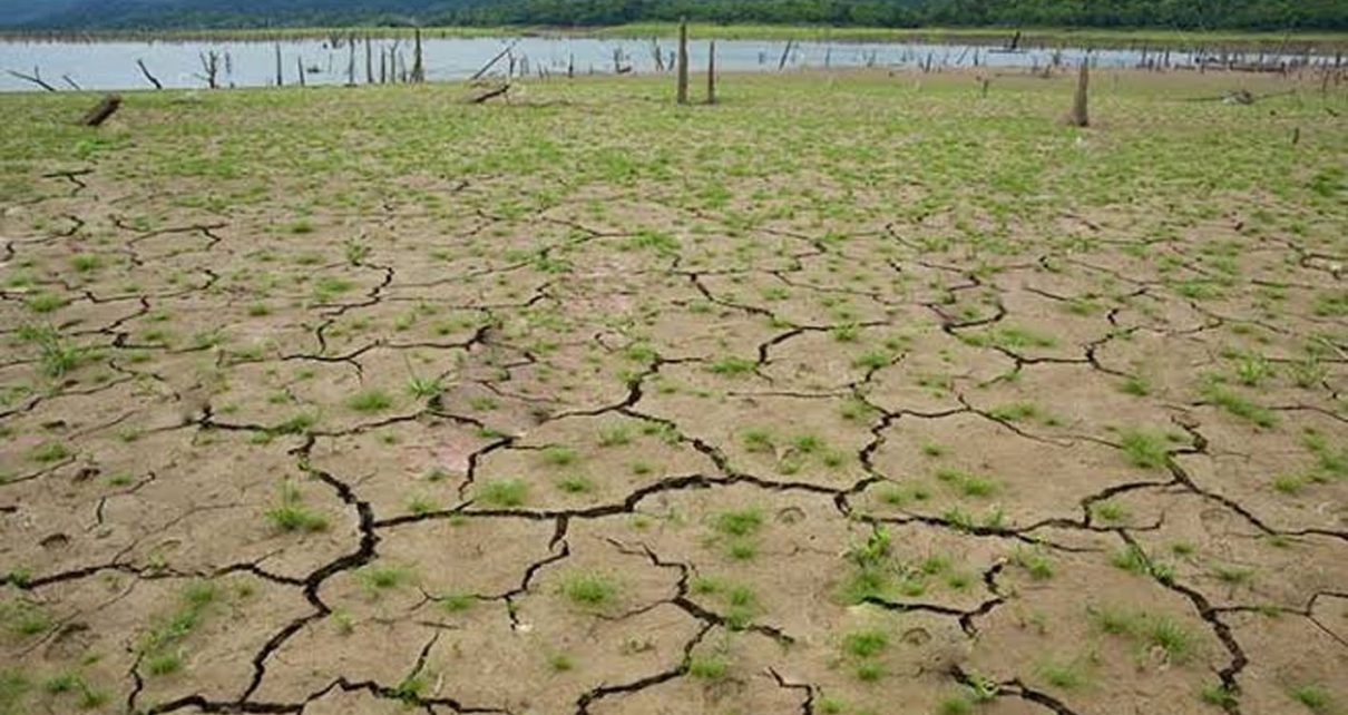 Corporation will take possession of 4 acres of Nazul land today, got ...