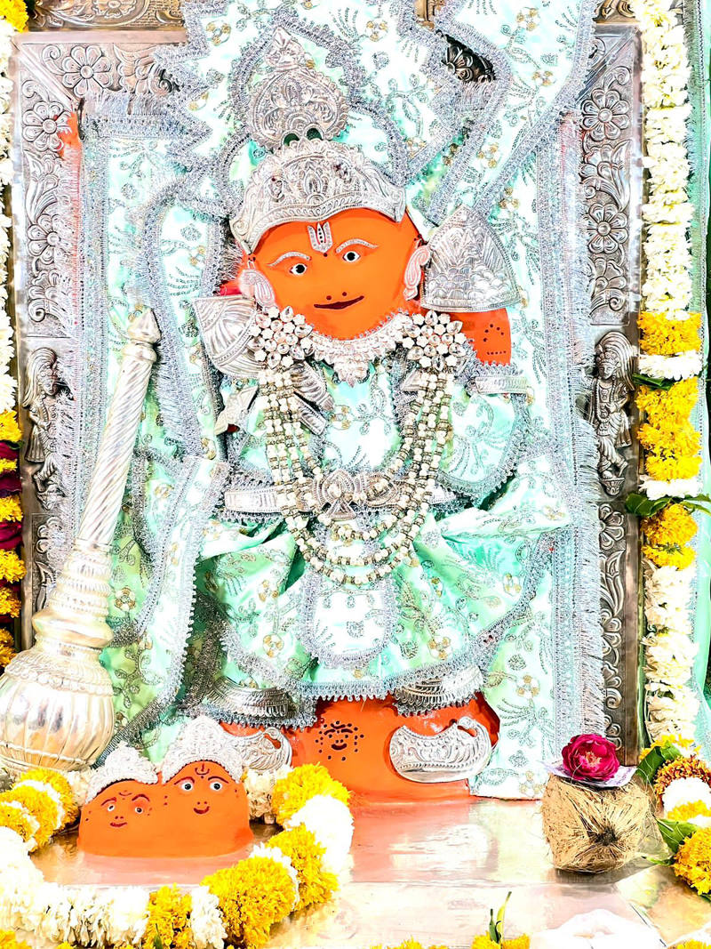 Bal Hanuman sitting in the palanquin will go out tomorrow to visit ...